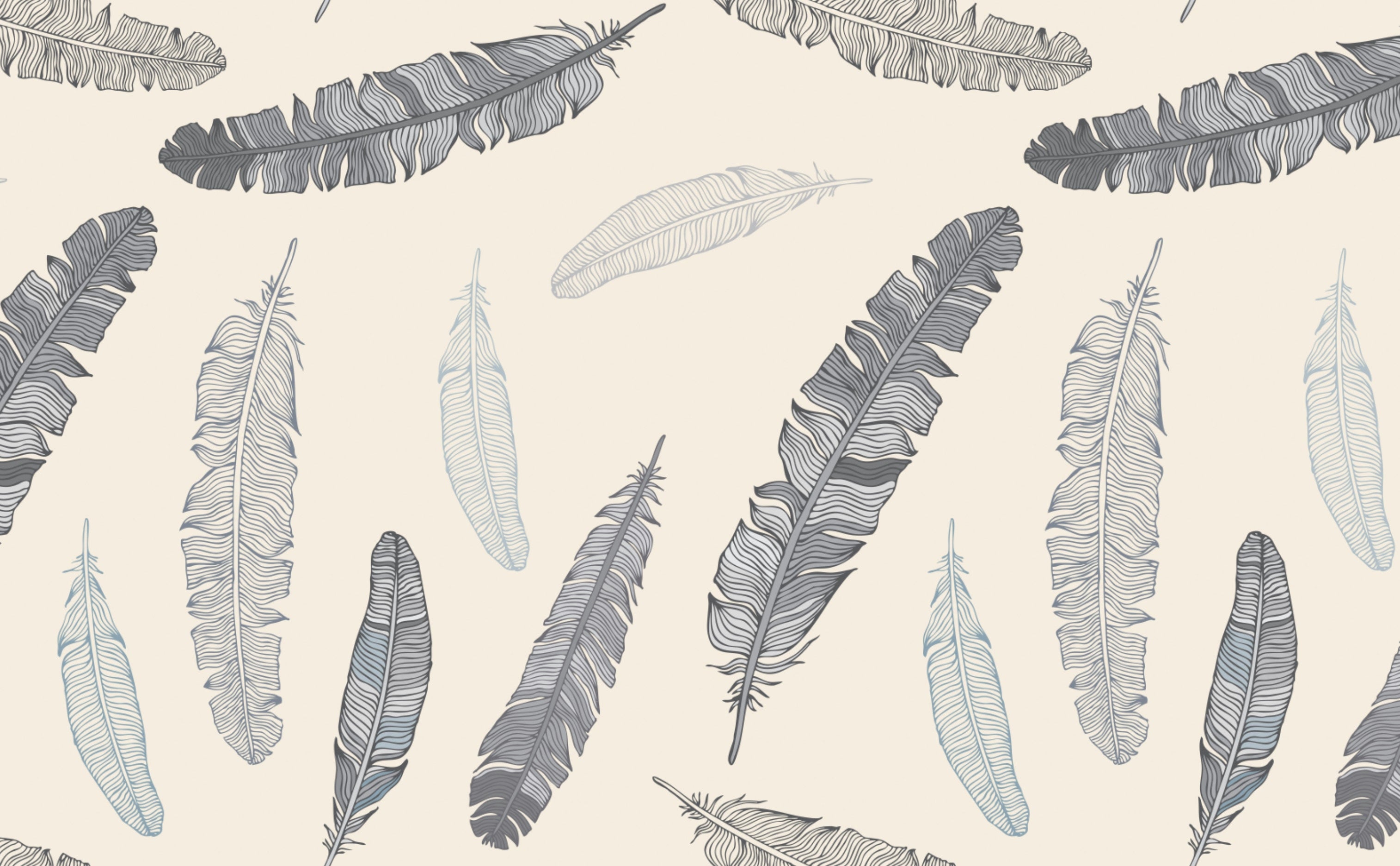 Goose Feather Wallpapers - Wallpaper Cave