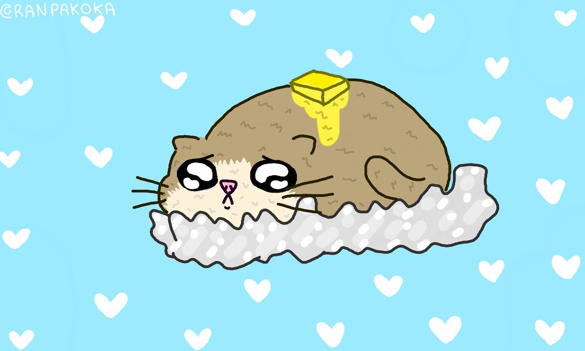 Potato Cat Wallpapers - Wallpaper Cave