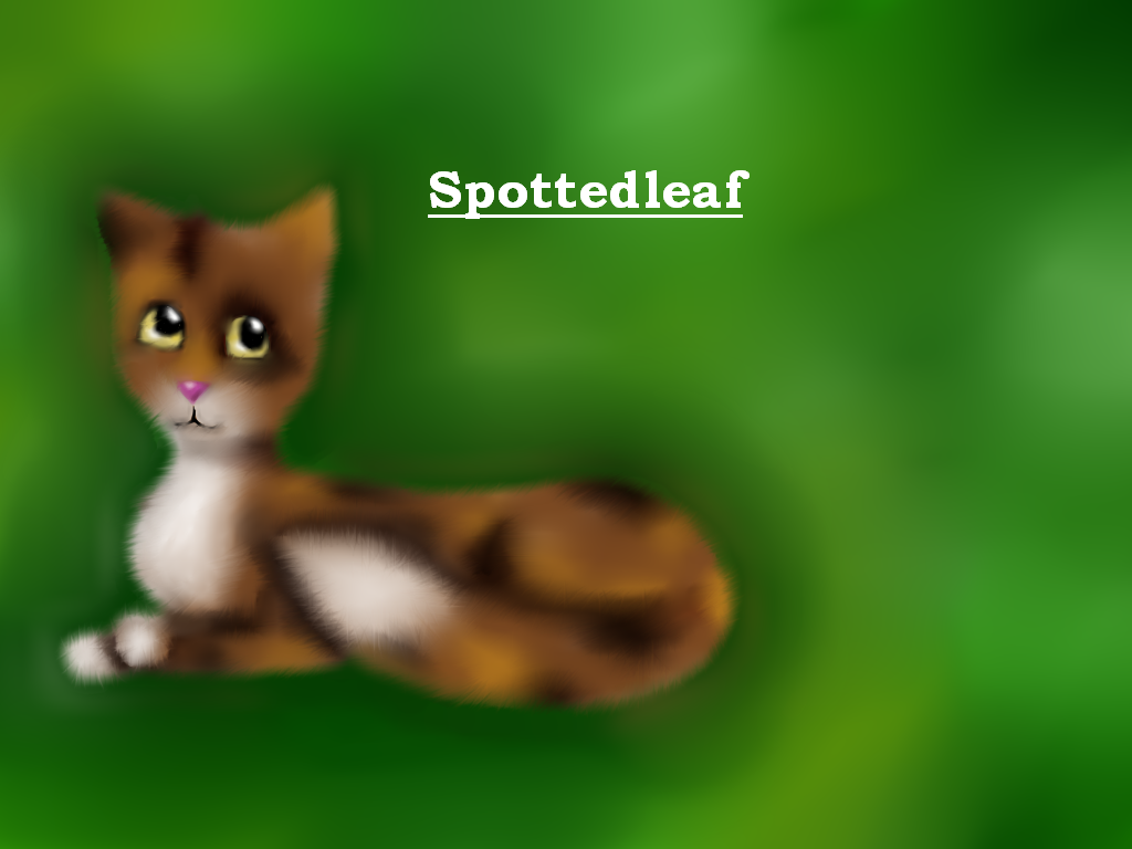 SpottedLeaf Wallpapers - Wallpaper Cave