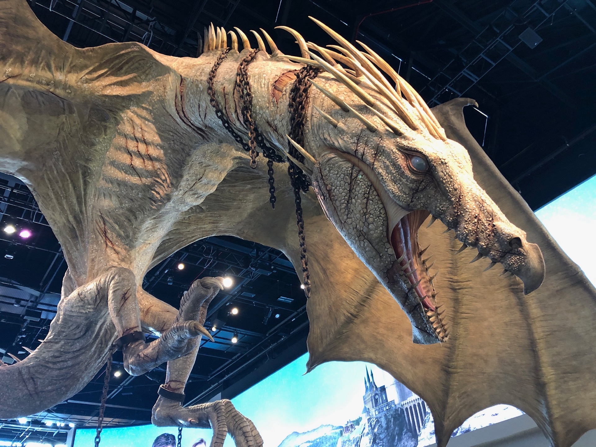 Harry Potter Dragon Wallpapers - Wallpaper Cave