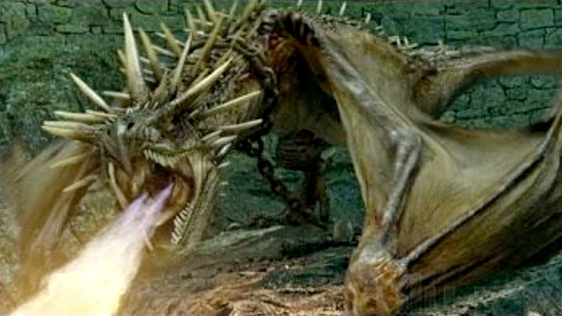 Harry Potter Dragon Wallpapers - Wallpaper Cave