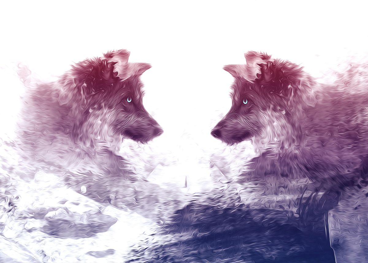 Two Wolves Wallpapers - Wallpaper Cave