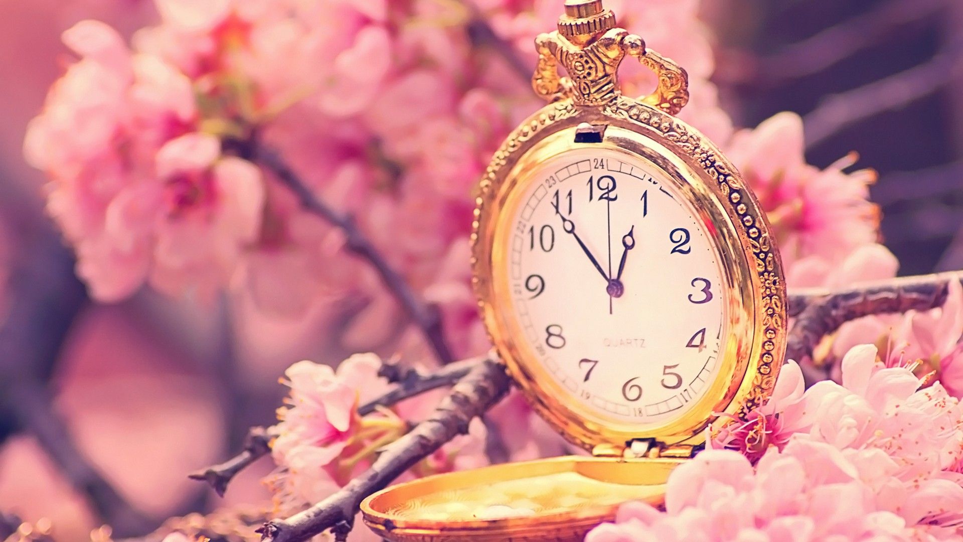 Pink Spring Cute Wallpapers - Wallpaper Cave