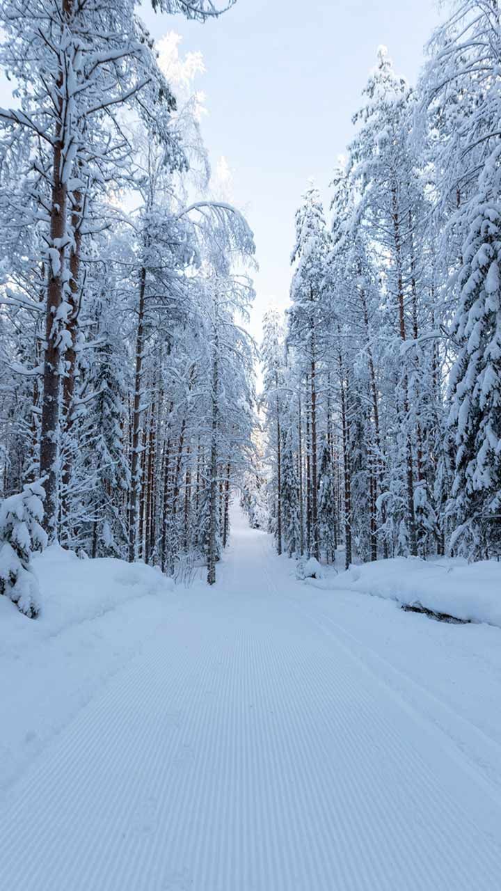 Winter Season Full Screen Wallpapers - Wallpaper Cave