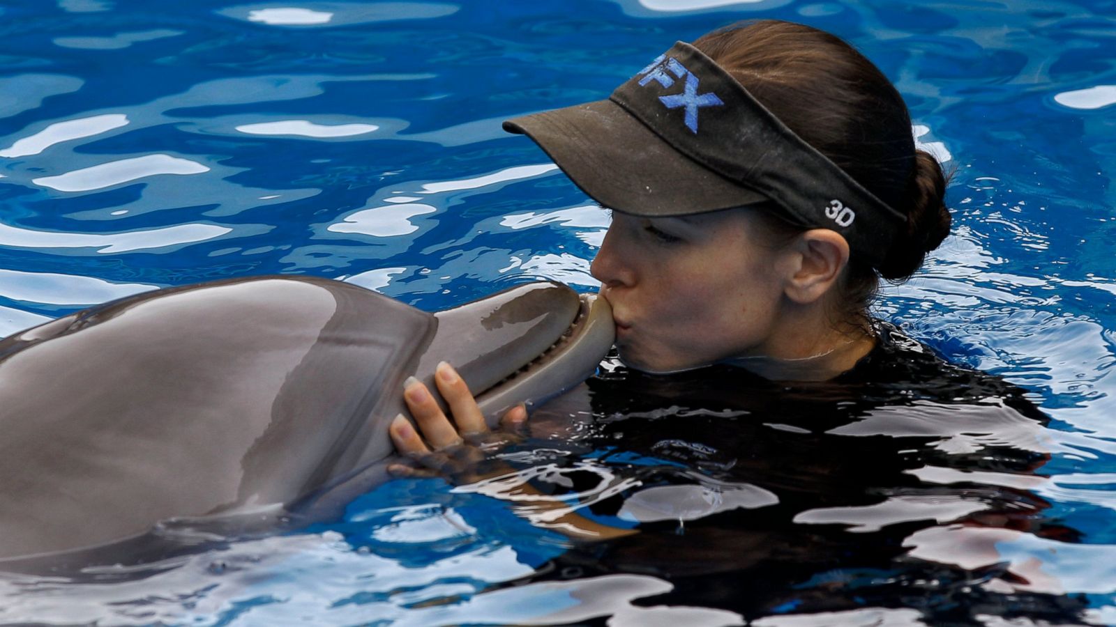 Dolphin Tale Movie Desktop Wallpapers - Wallpaper Cave