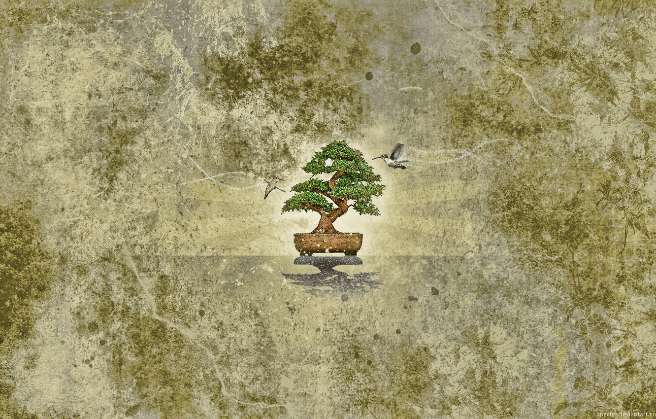 Bonsai Tree Anime Wallpapers - Wallpaper Cave