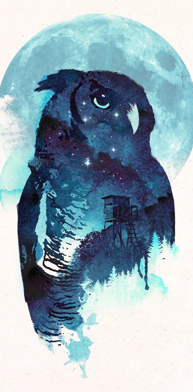 Midnight Owl Wallpapers - Wallpaper Cave