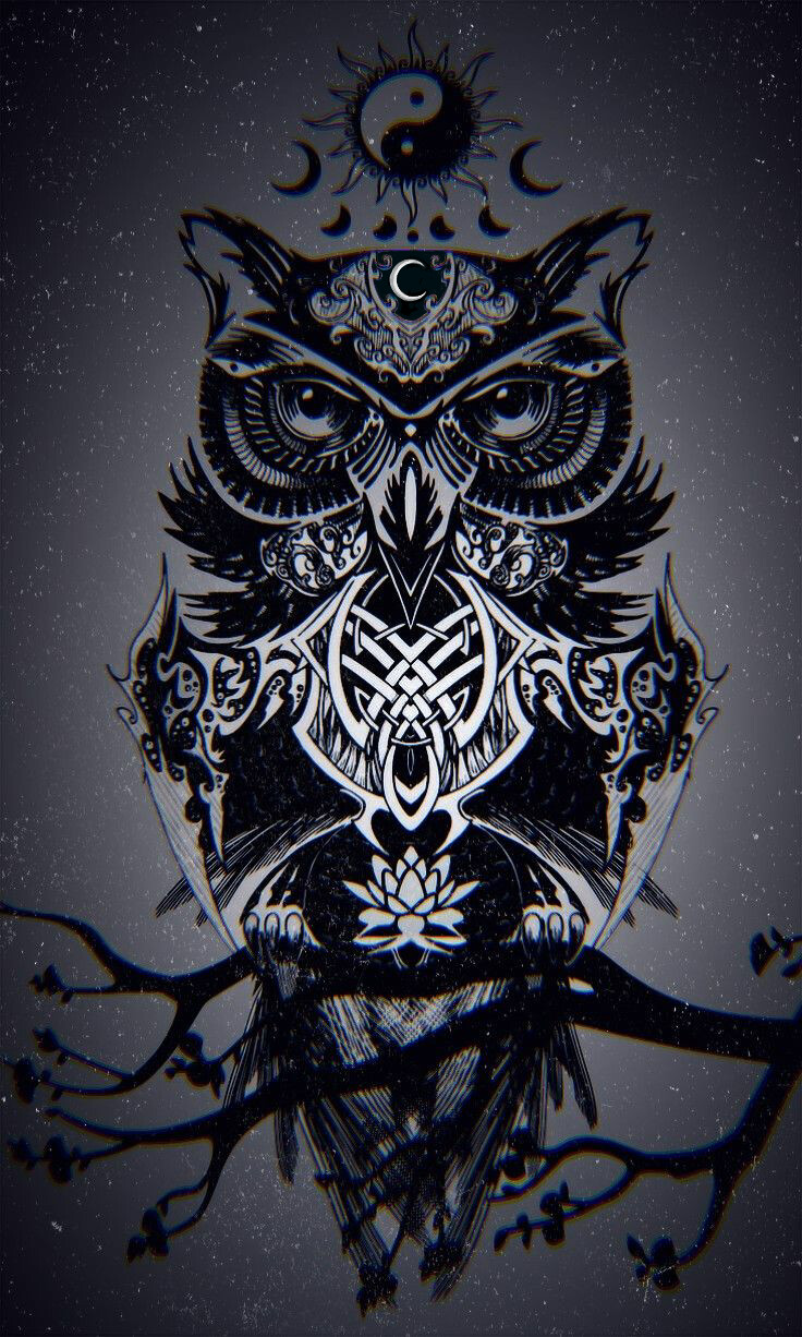 Midnight Owl Wallpapers - Wallpaper Cave