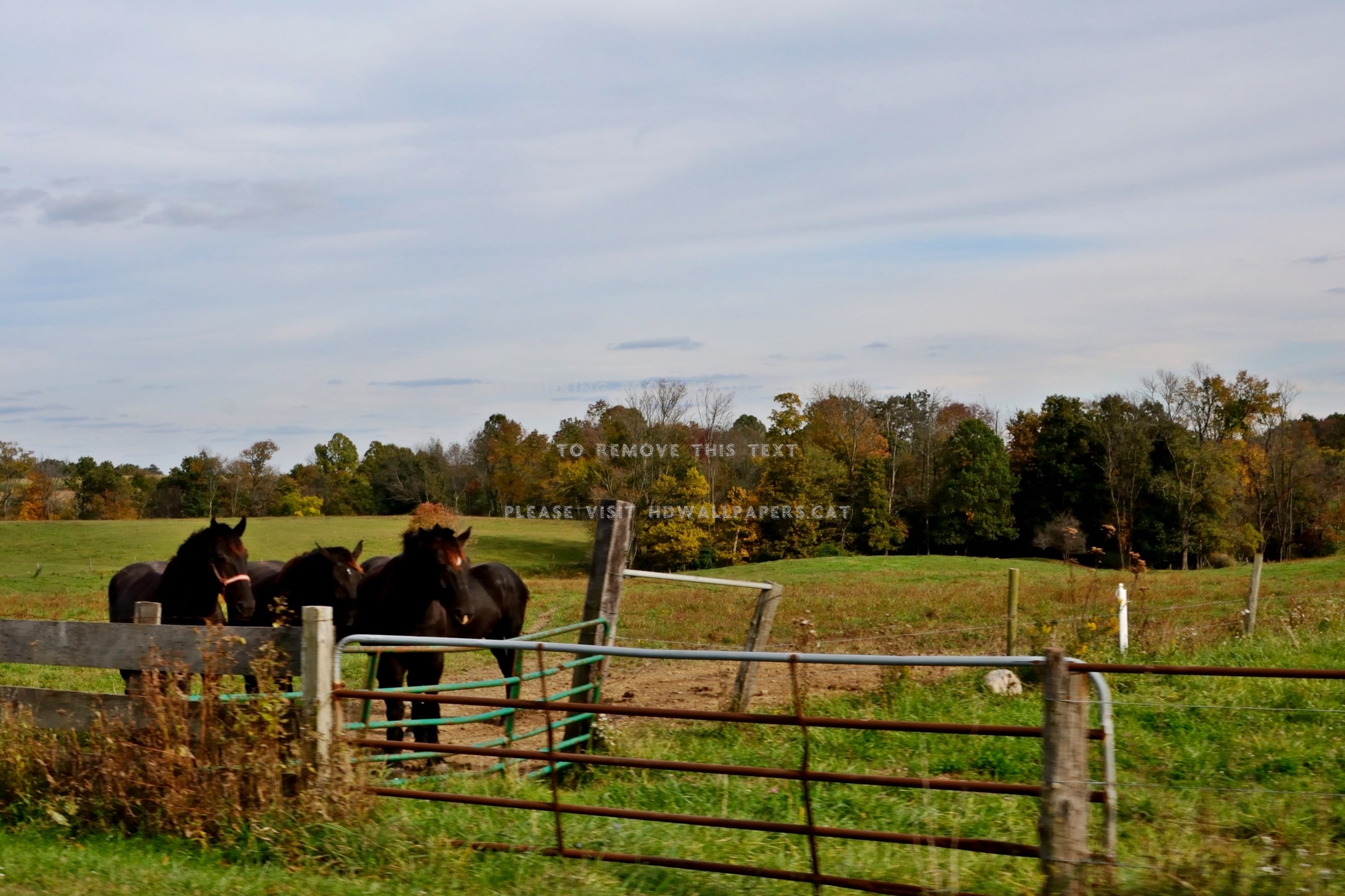 Country Scenes Wallpapers - Wallpaper Cave