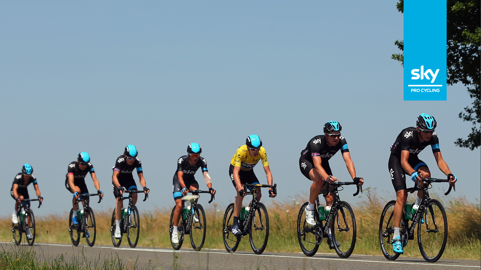 Team Sky Wallpapers - Wallpaper Cave