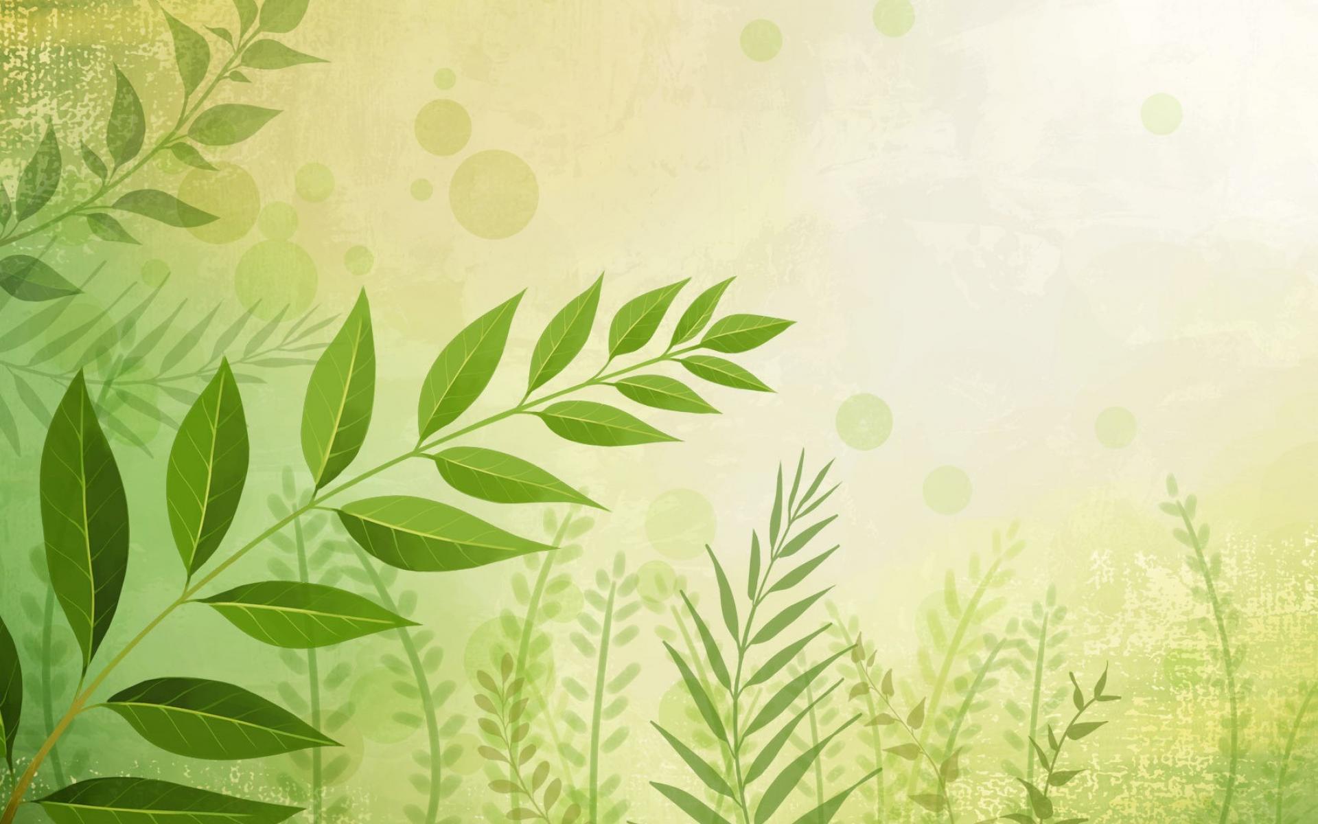 Green Vector Wallpapers - Wallpaper Cave