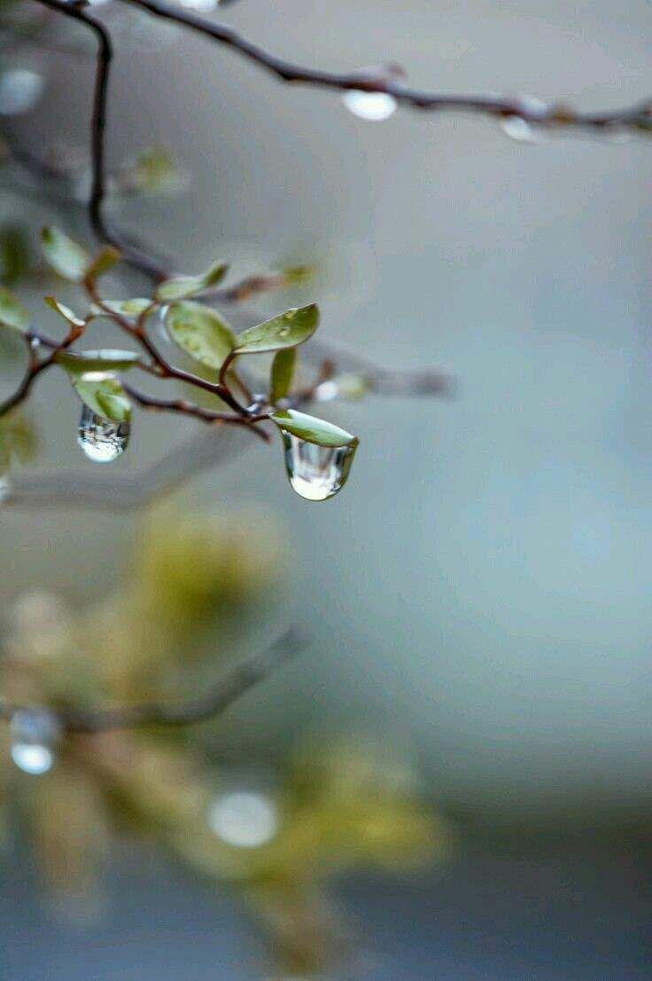 WhatsApp Status Wallpapers - Wallpaper Cave