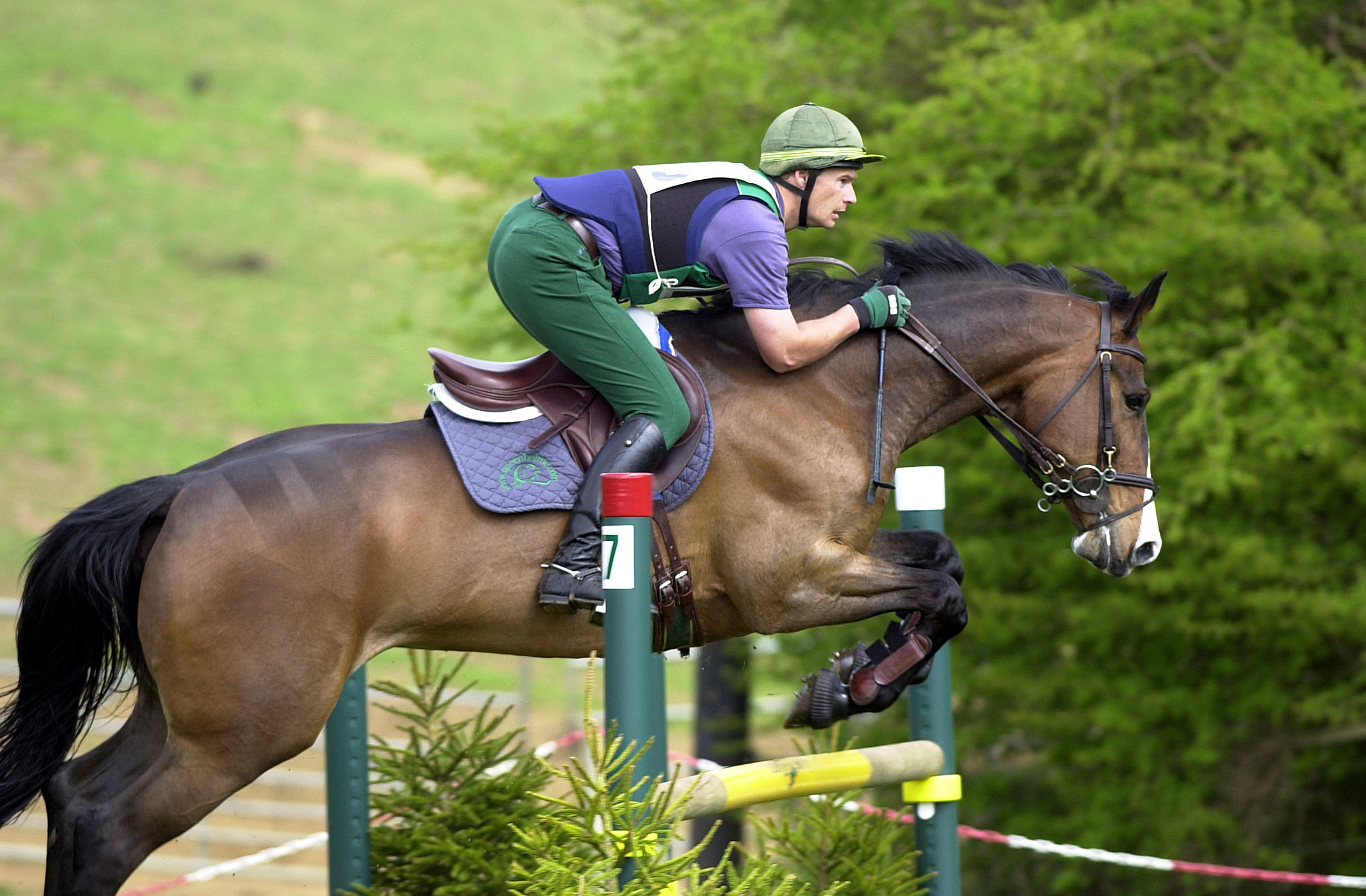 Showjumping Wallpapers - Wallpaper Cave