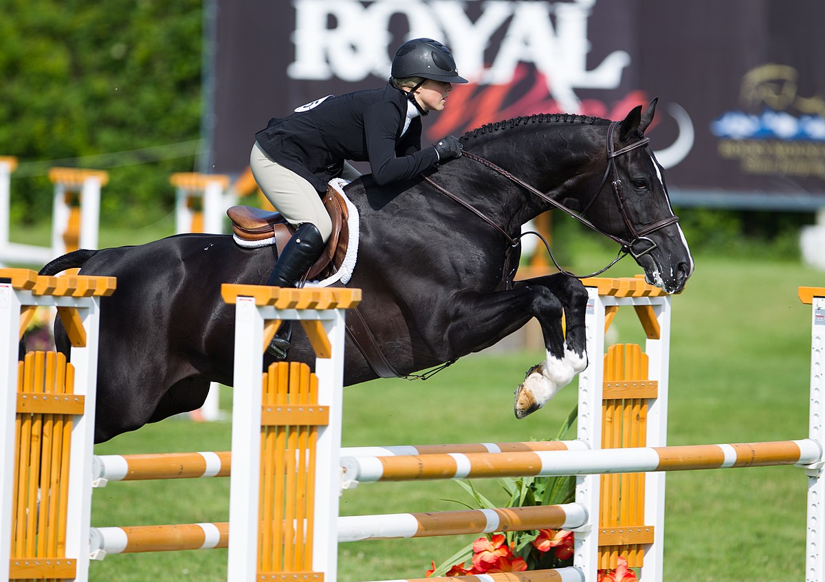 Showjumping Wallpapers - Wallpaper Cave