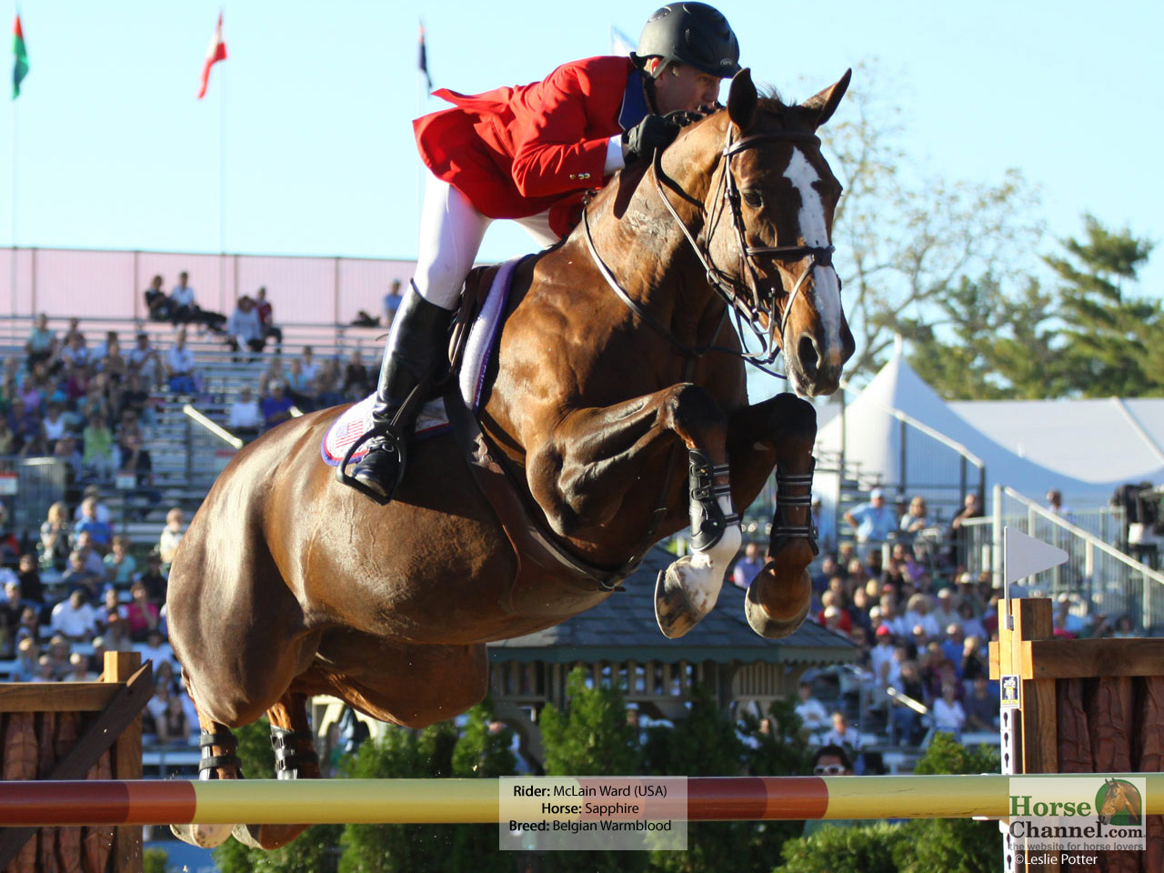 Showjumping Wallpapers - Wallpaper Cave