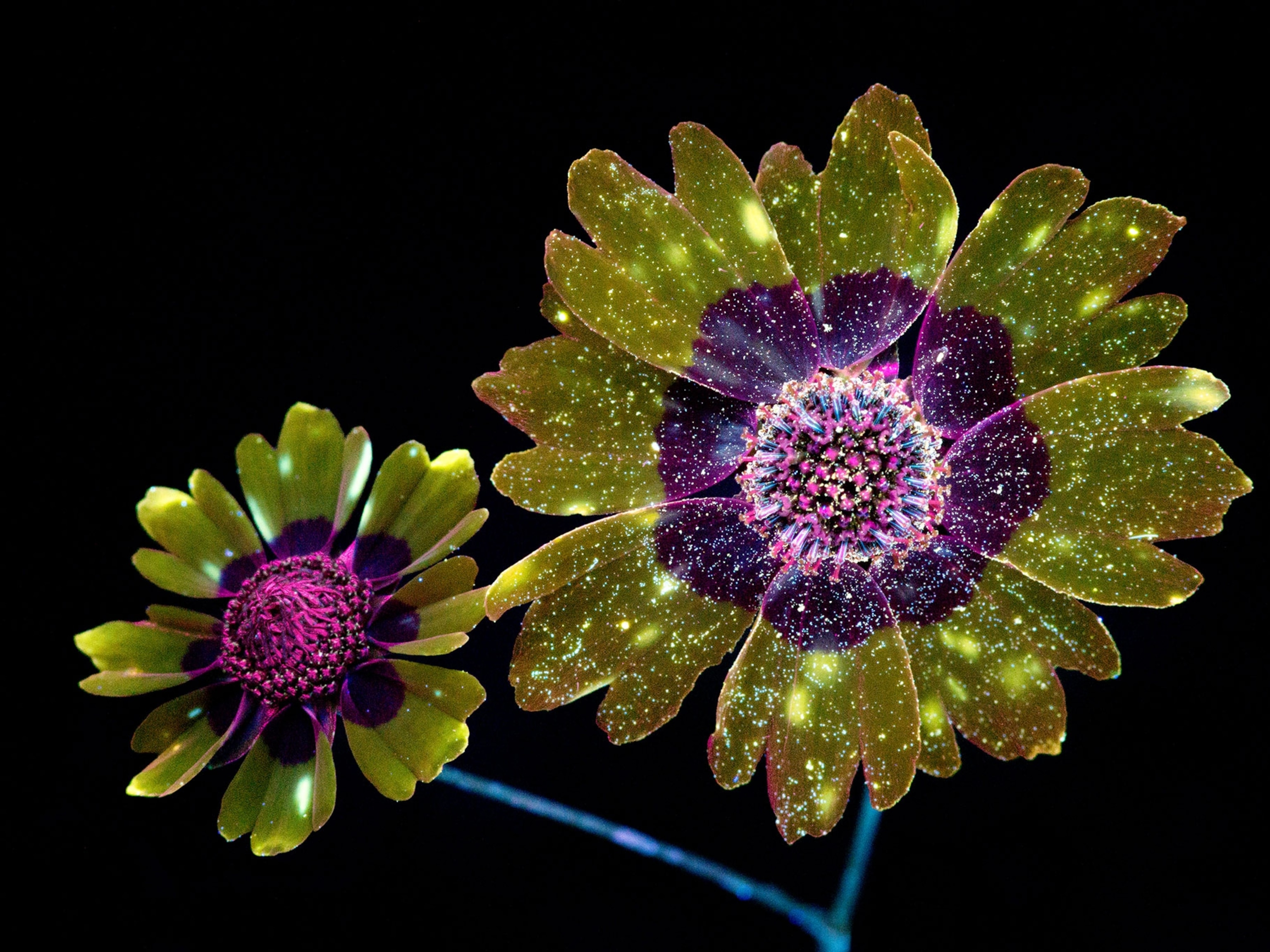 UV Light Wallpapers - Wallpaper Cave