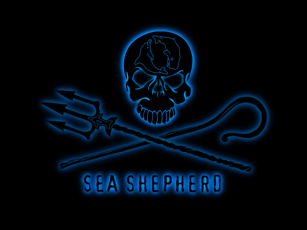 Sea Shepherd Wallpapers - Wallpaper Cave