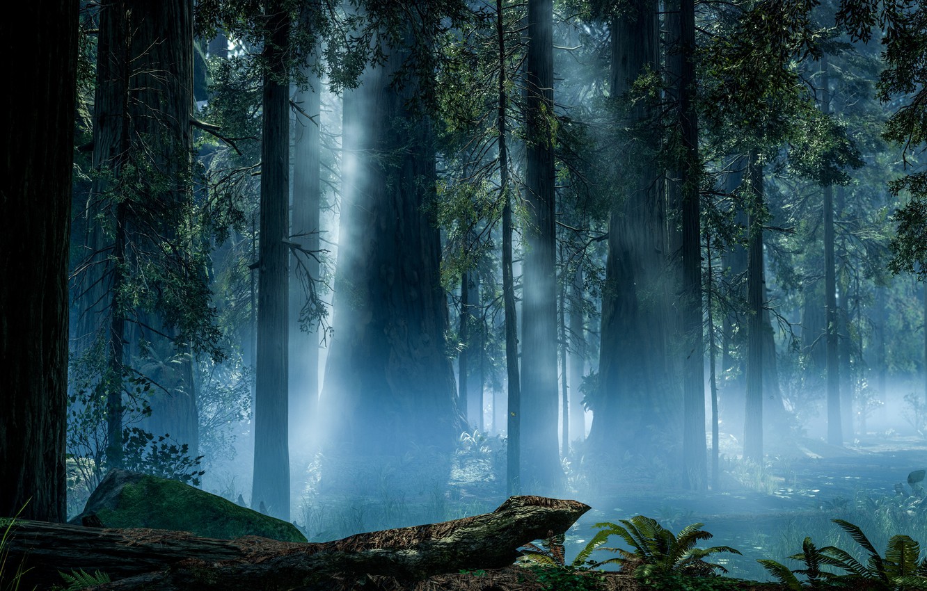 Star Wars Endor Wallpapers - Wallpaper Cave