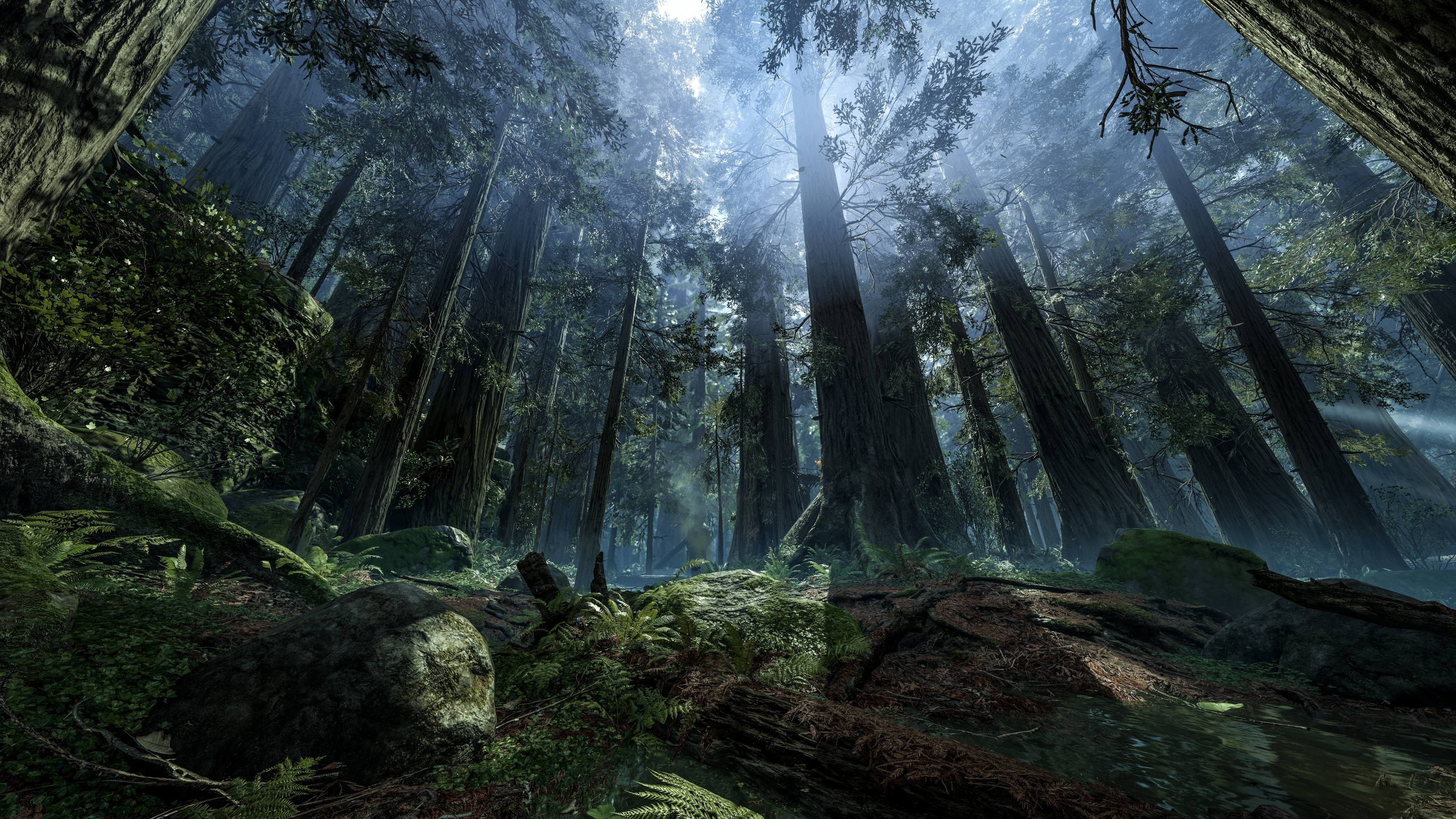 Star Wars Endor Wallpapers - Wallpaper Cave
