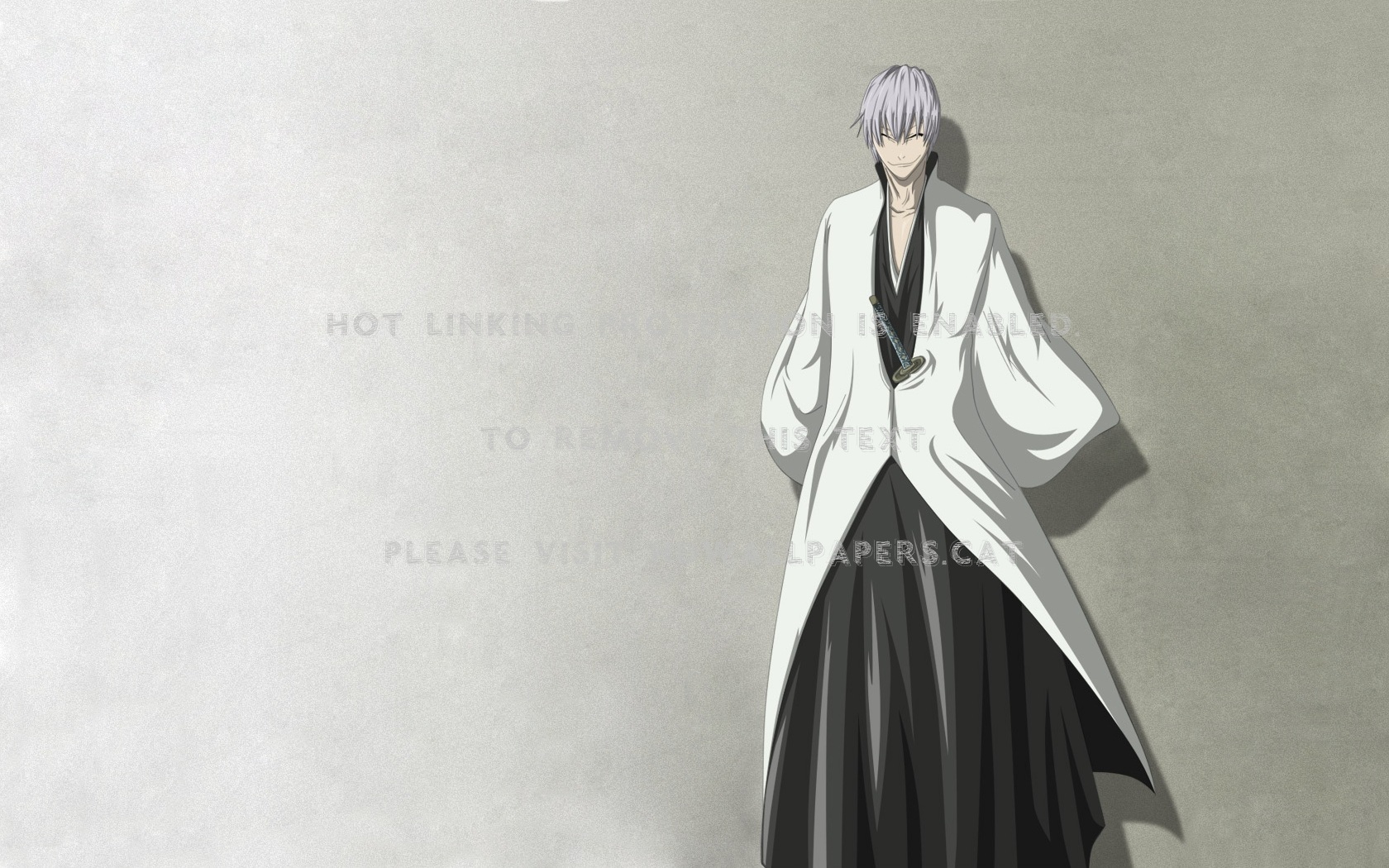 Bleach Gin Wallpapers - Wallpaper Cave