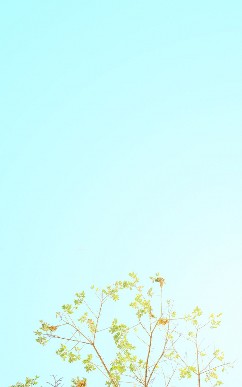 Minimalist Spring iPhone Wallpapers - Wallpaper Cave