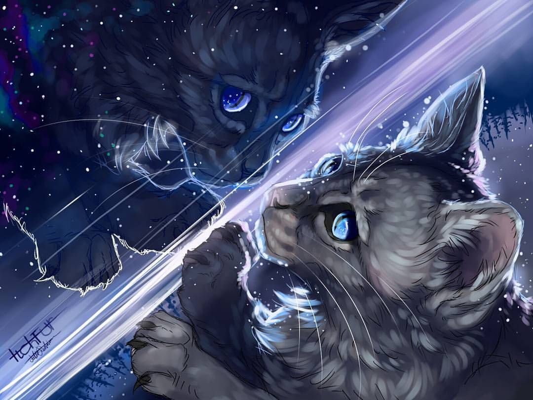 Cinderpelt Warrior Cats