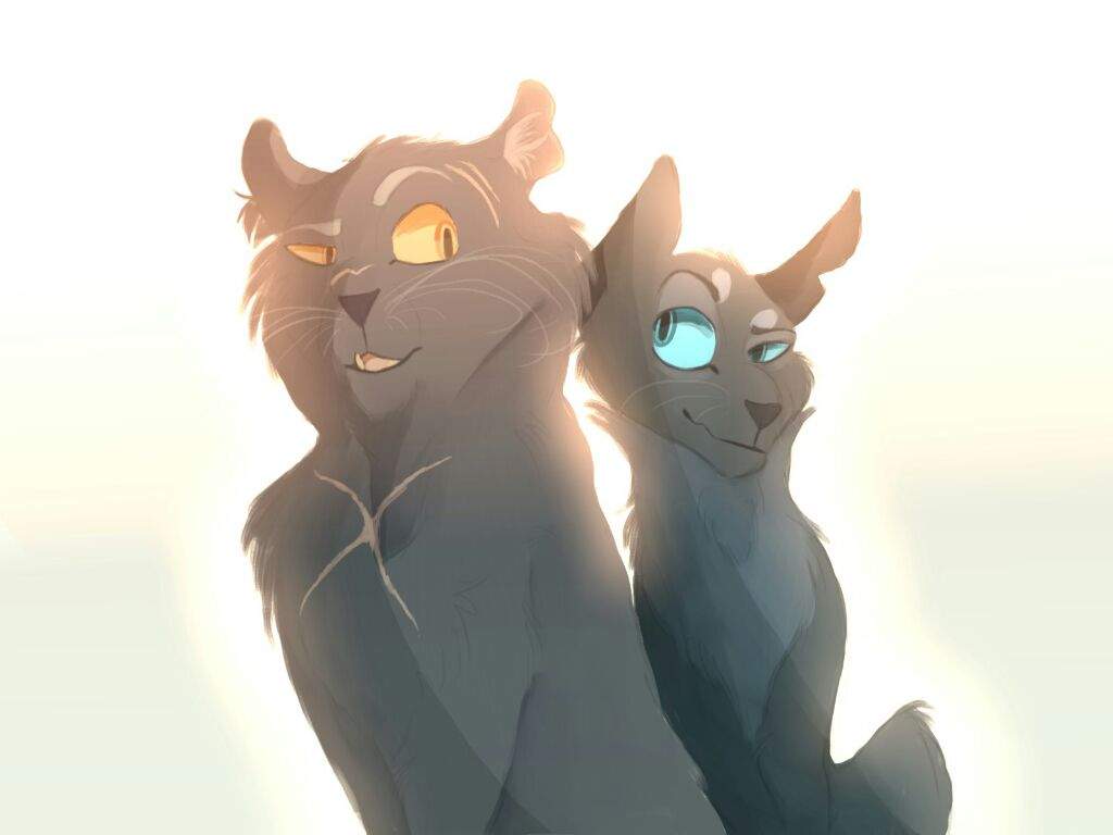 Cinderpaw Wallpapers - Wallpaper Cave