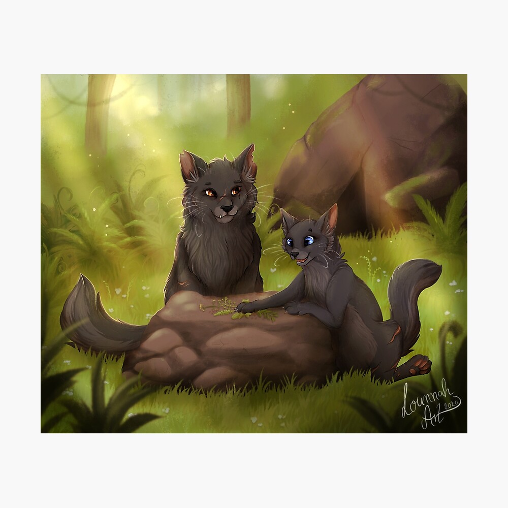 Cinderpaw Wallpapers - Wallpaper Cave