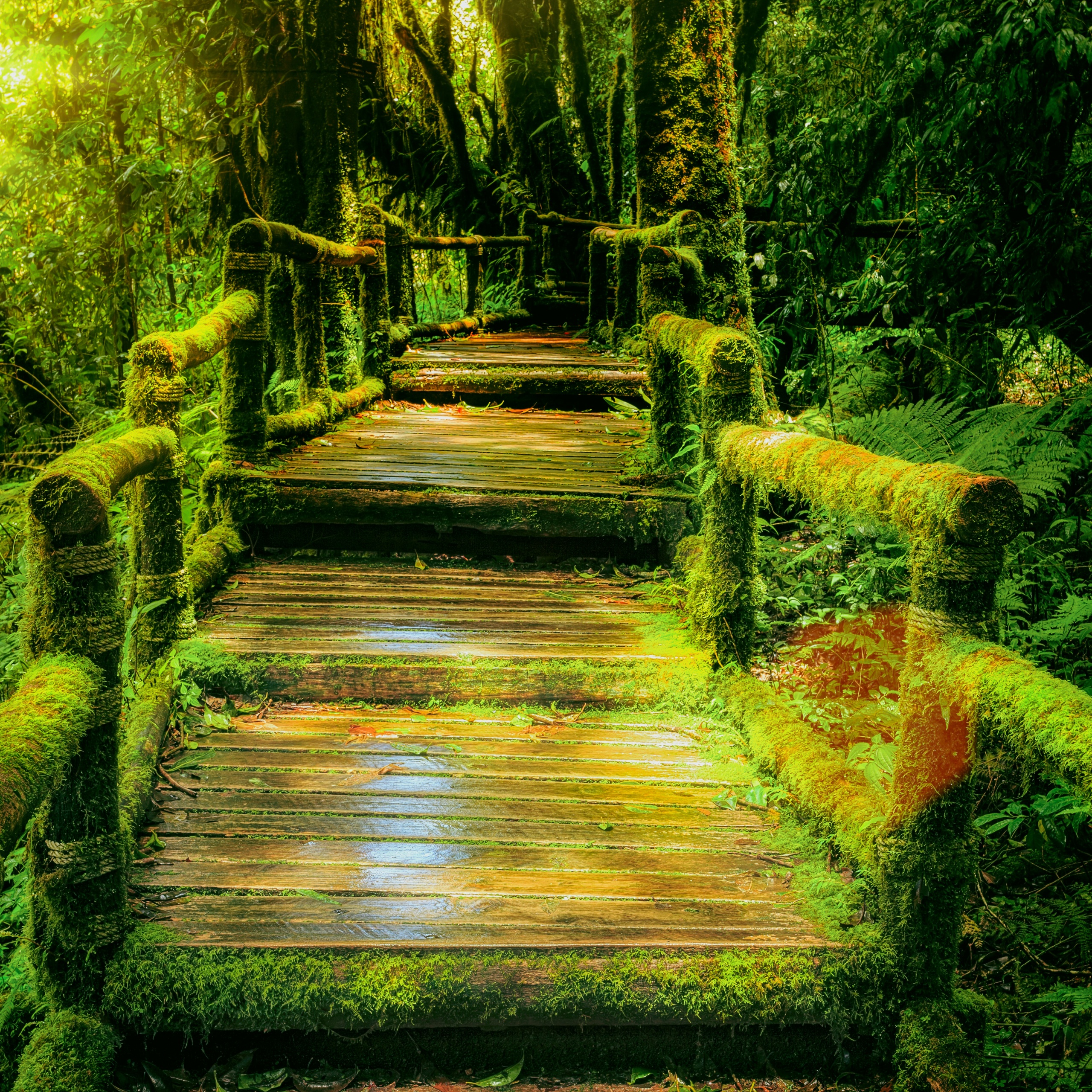 8k Bridge Wallpapers - Wallpaper Cave