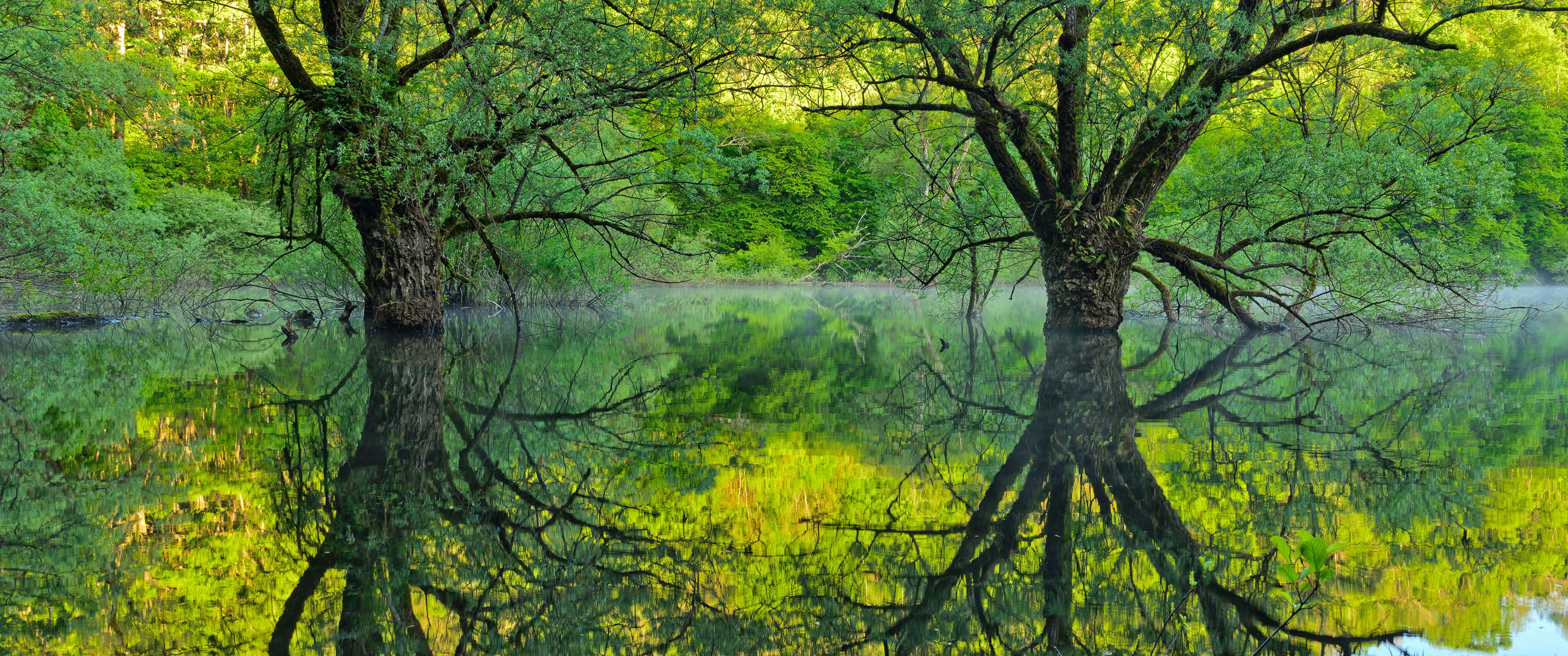 4k Ultrawide Spring Wallpapers - Wallpaper Cave