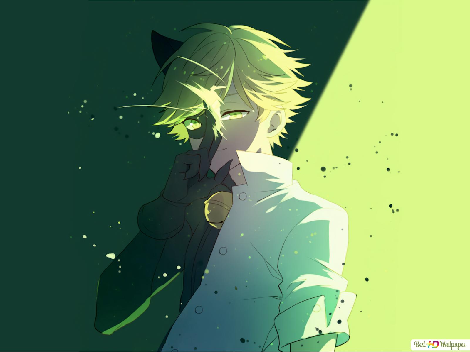 Miraculous Ladybug Adrienette Wallpapers - Wallpaper Cave