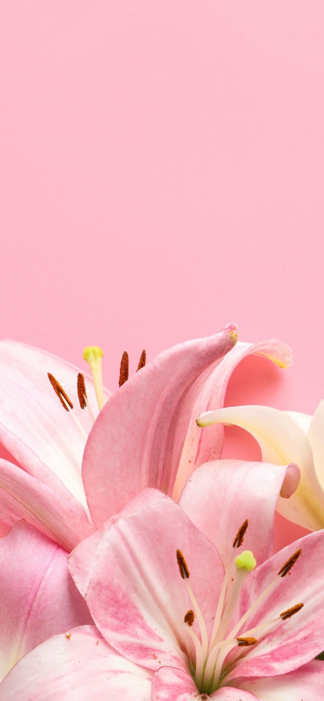 iPhone Spring Abstract Wallpapers - Wallpaper Cave