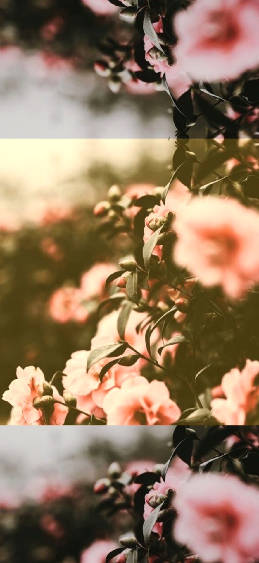 iPhone Spring Abstract Wallpapers - Wallpaper Cave