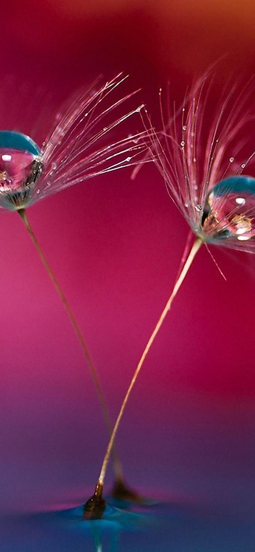 iPhone Spring Abstract Wallpapers - Wallpaper Cave