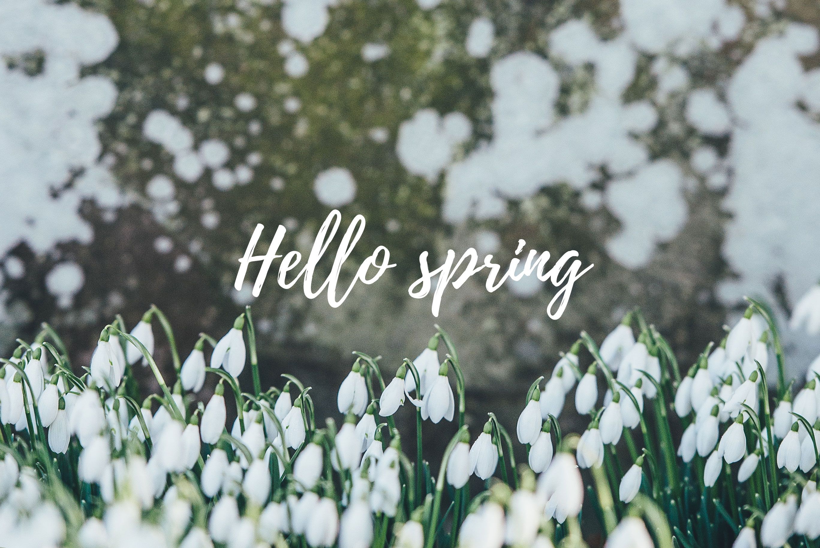 Simple Spring Desktop Wallpapers - Wallpaper Cave