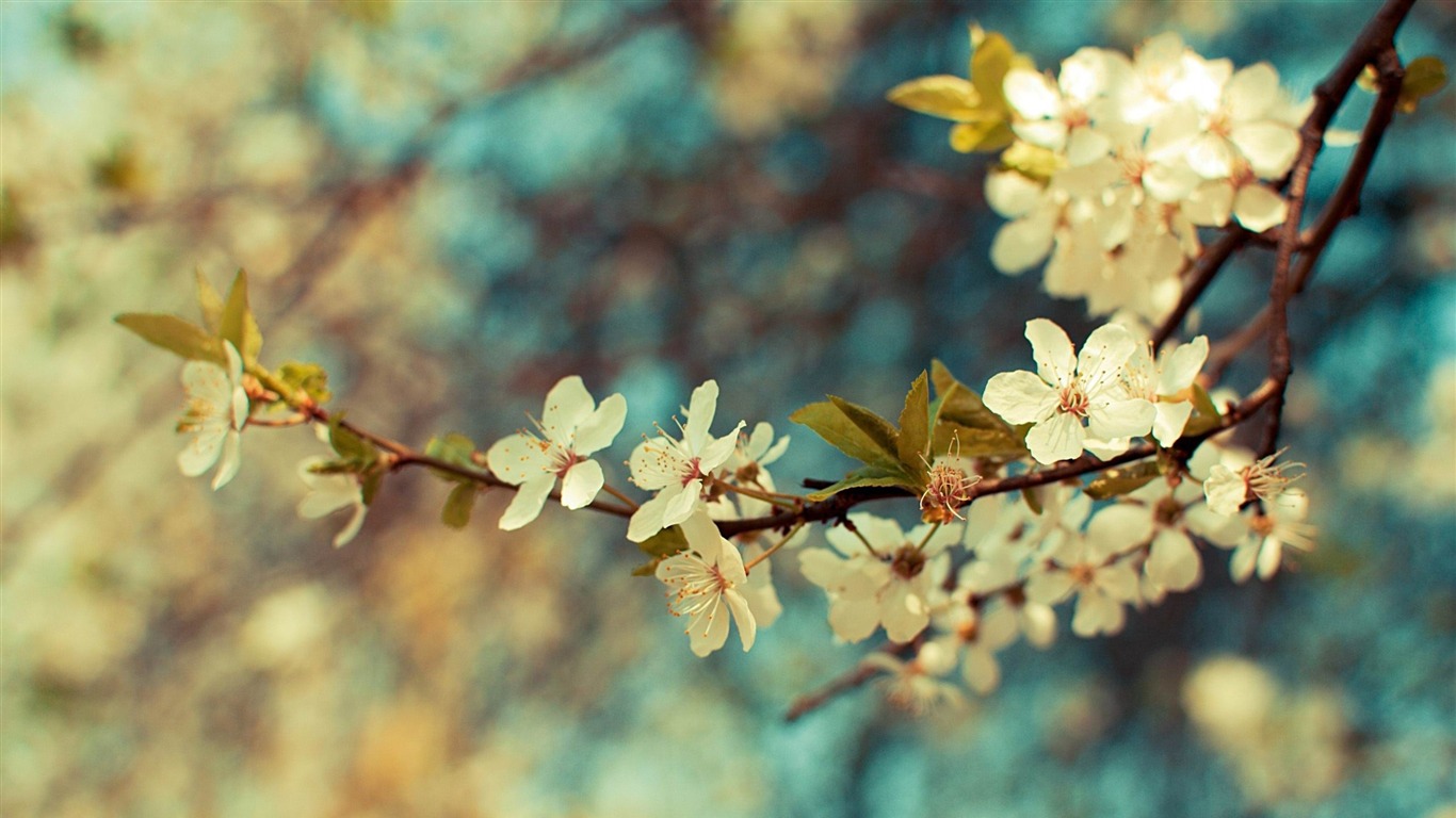 Aesthetic PC Spring Wallpapers - Wallpaper Cave