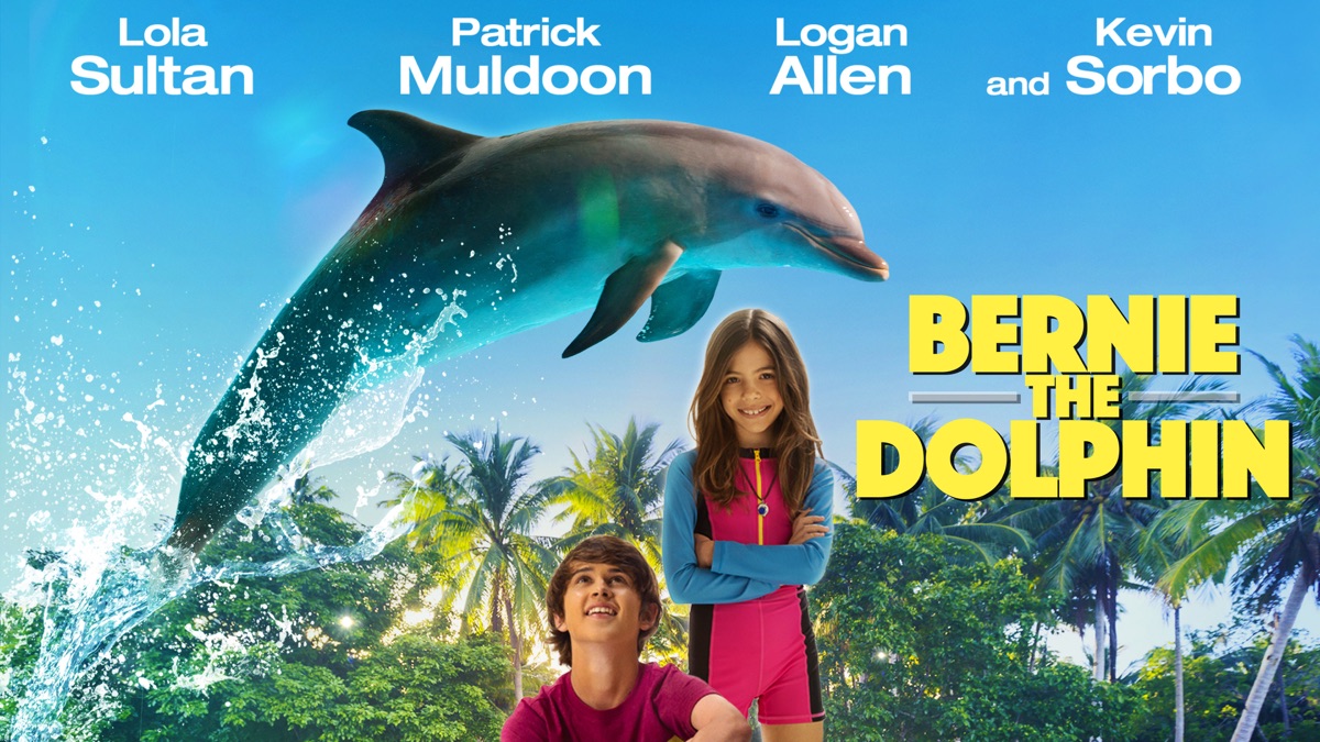 Bernie The Dolphin Wallpapers - Wallpaper Cave