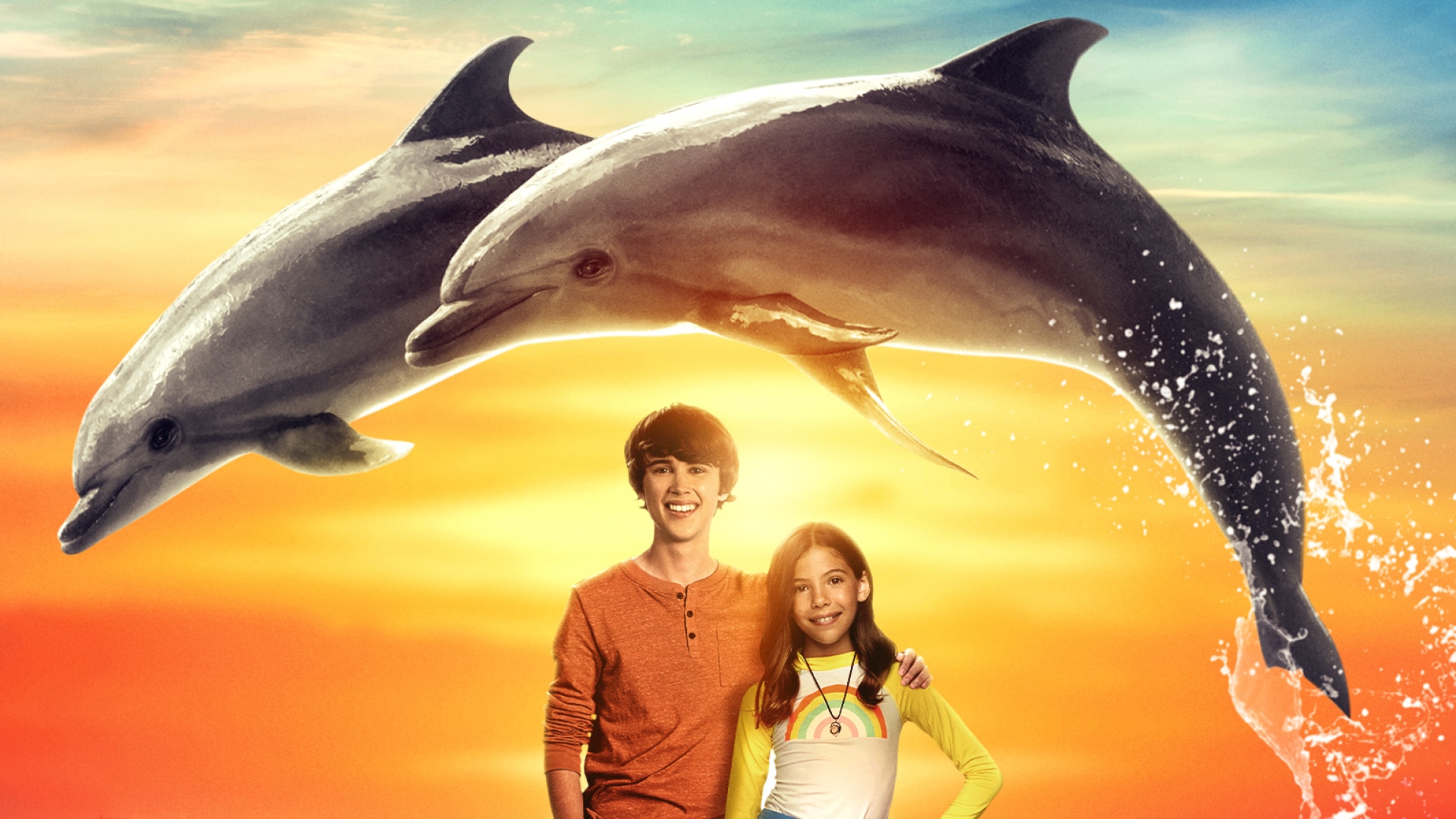 Bernie The Dolphin Wallpapers - Wallpaper Cave