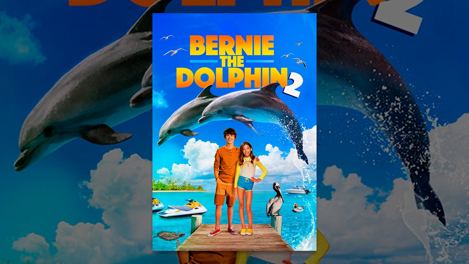 Bernie The Dolphin Wallpapers - Wallpaper Cave