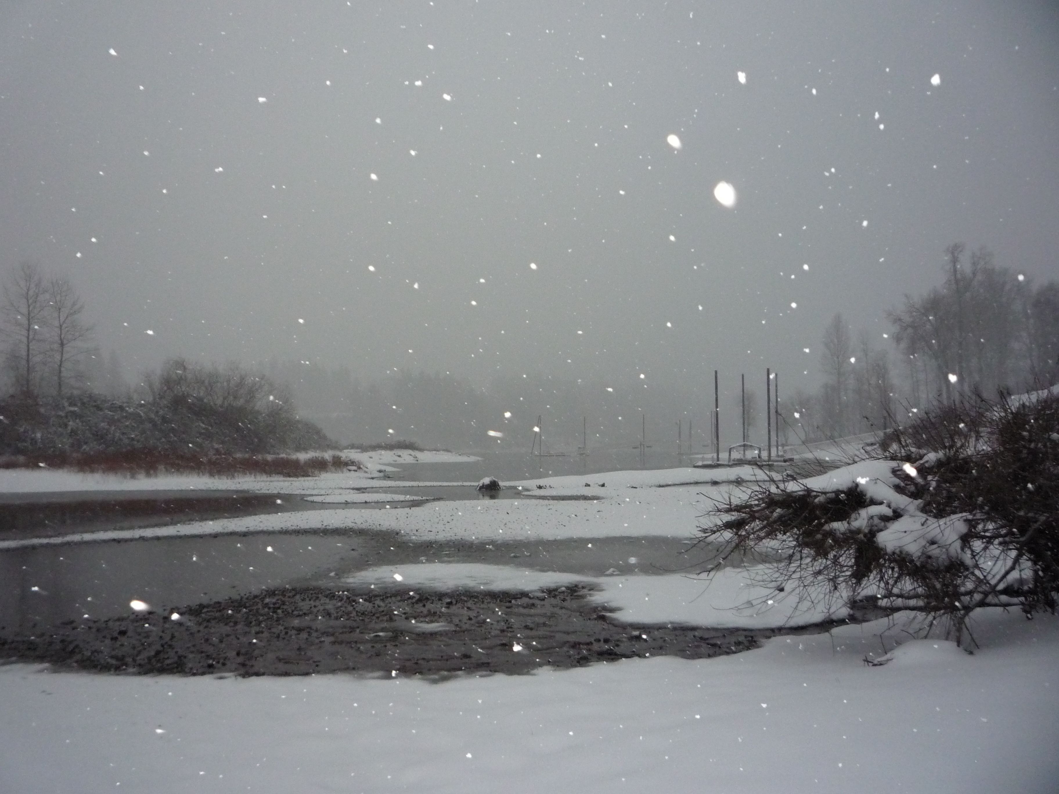 Snow Blizzard Wallpapers - Wallpaper Cave