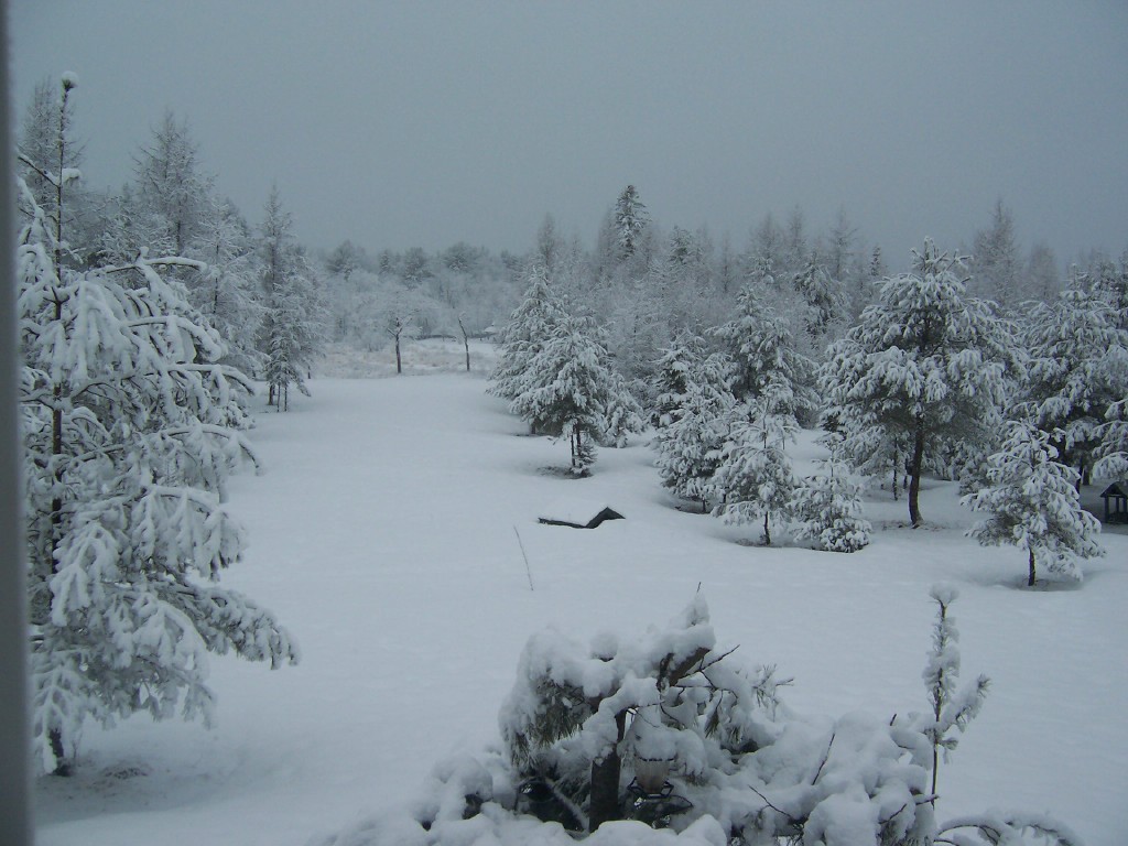 Snow Blizzard Wallpapers - Wallpaper Cave