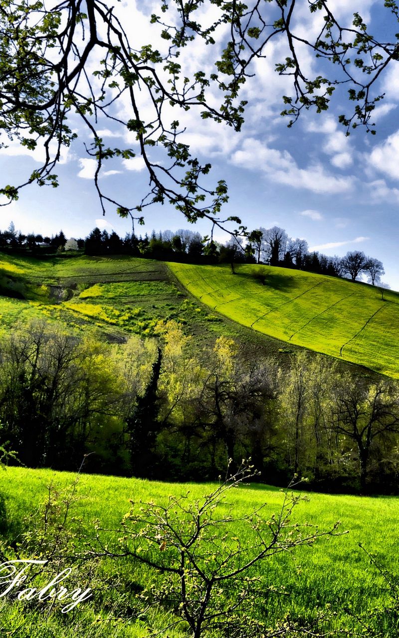 Spring Field Wallpapers - Wallpaper Cave