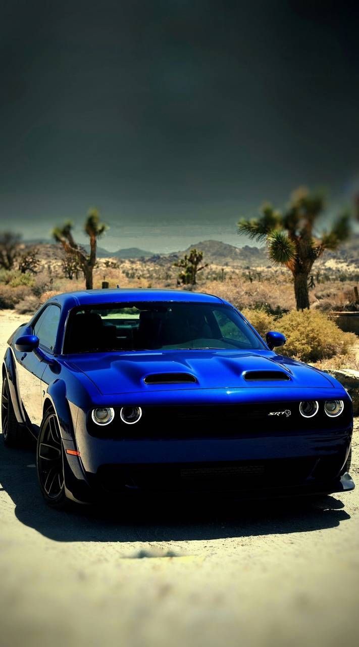 Blue Hellcat Wallpapers - Wallpaper Cave