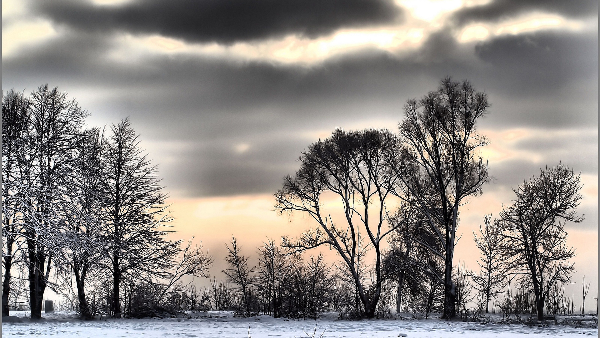 Winter Trees Dark Wallpapers - Wallpaper Cave
