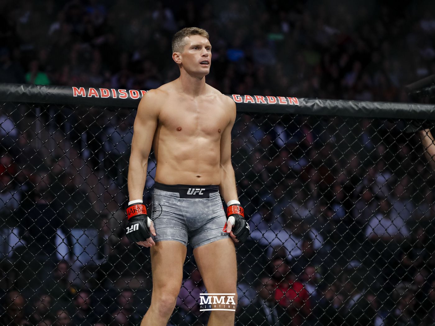 Stephen Thompson Wallpapers - Wallpaper Cave