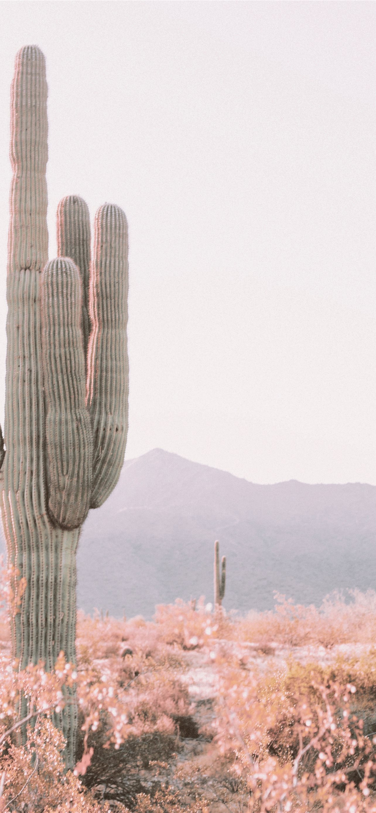 Aesthetic Arizona Wallpapers - Wallpaper Cave