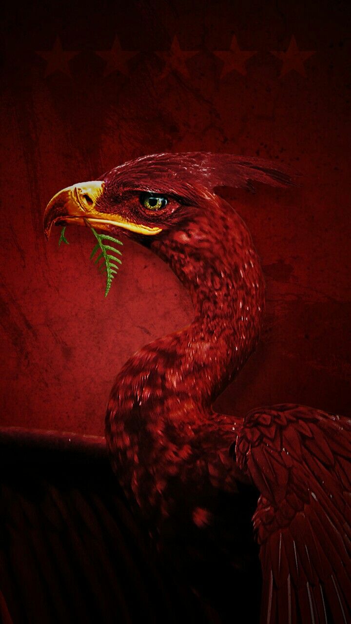 Liver Bird Wallpapers - Wallpaper Cave