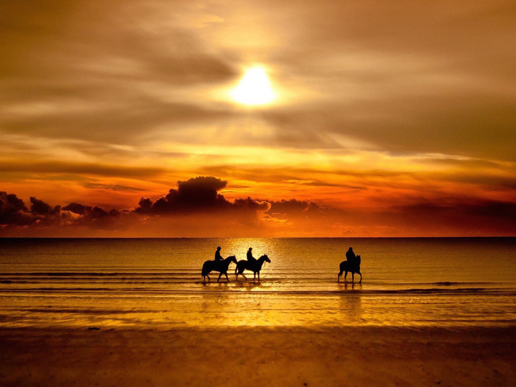 Horseback Riding Wallpapers - Wallpaper Cave
