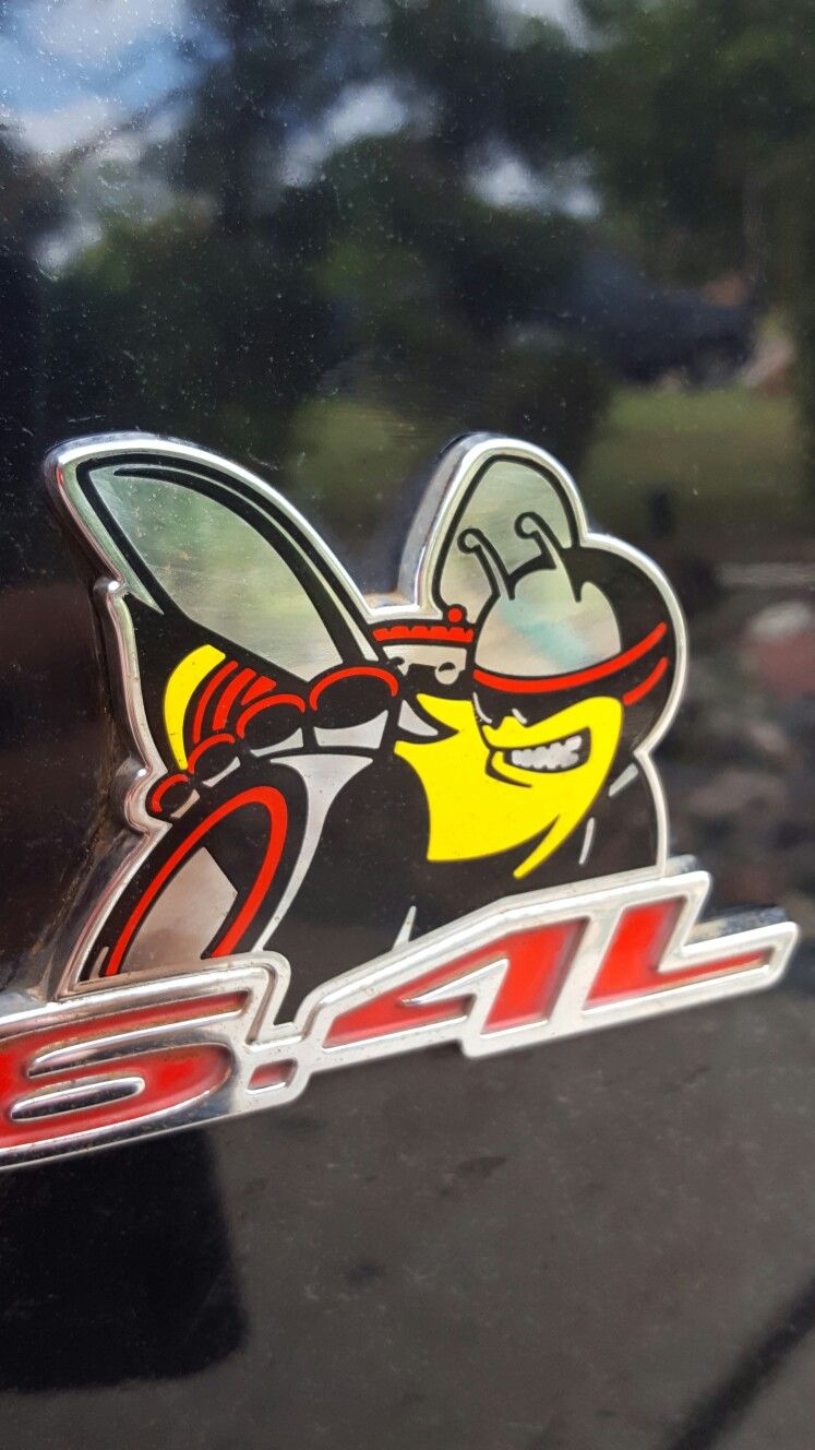 Scat Pack Logo Wallpapers - Wallpaper Cave