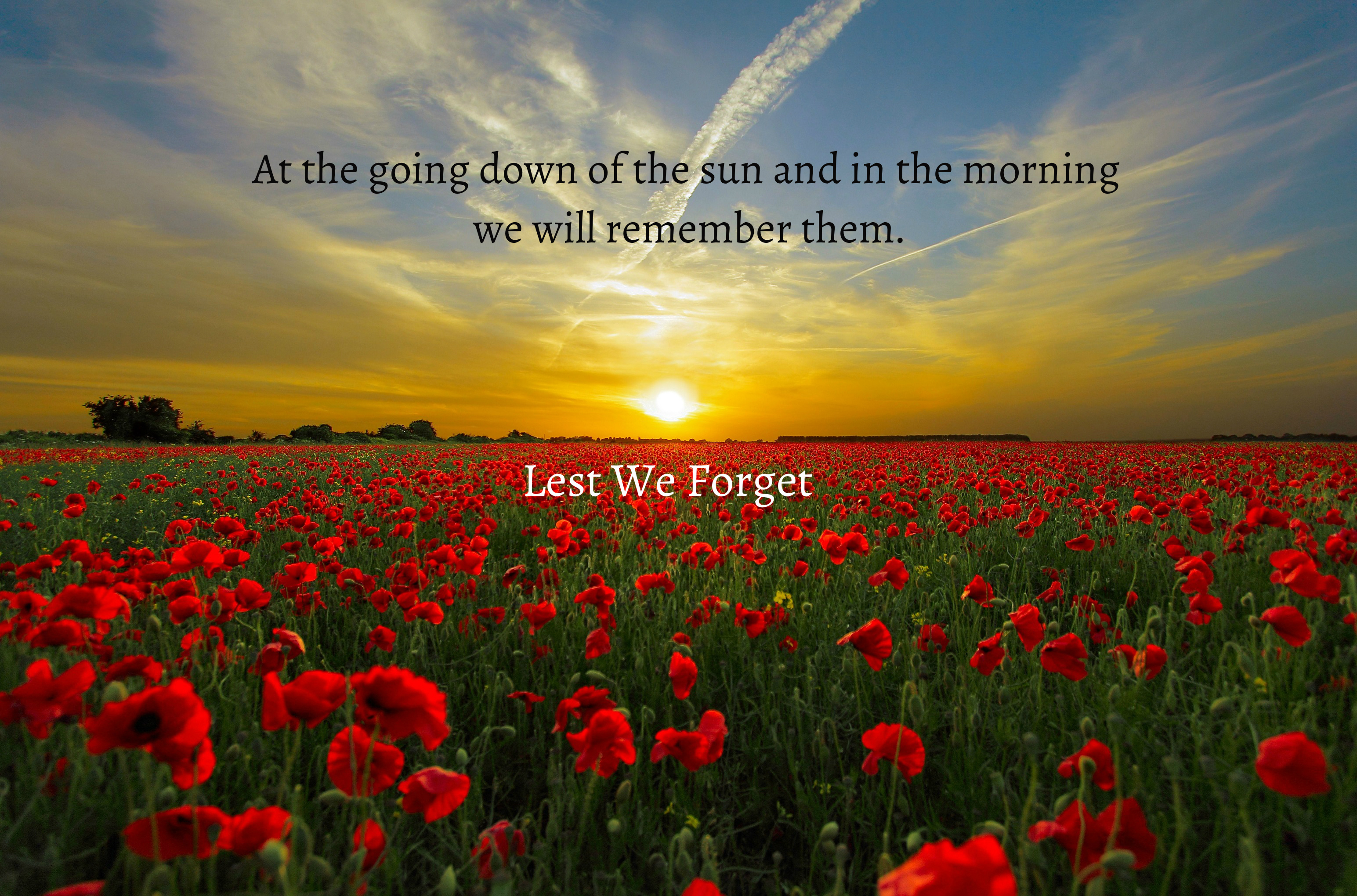 Lest We Forget Wallpapers - Wallpaper Cave